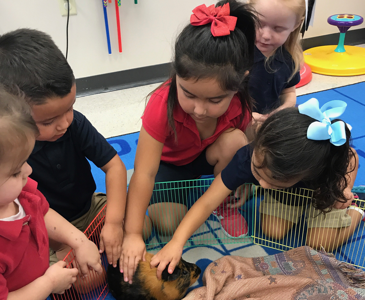Our Catholic Preschool Classroom is Sweeter with a S’more!